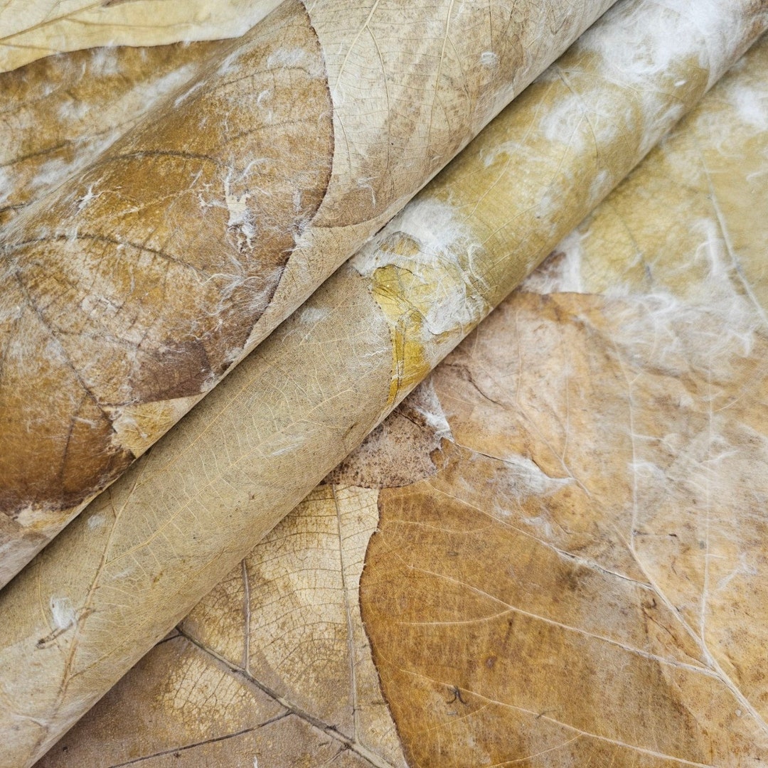 Handmade Teak Leaf Mulberry Paper by Kozo Studio - Etsy