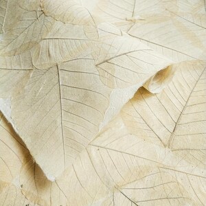 Handmade Buddha Leaf Mulberry Paper (natural) by Kozo Studio - Etsy