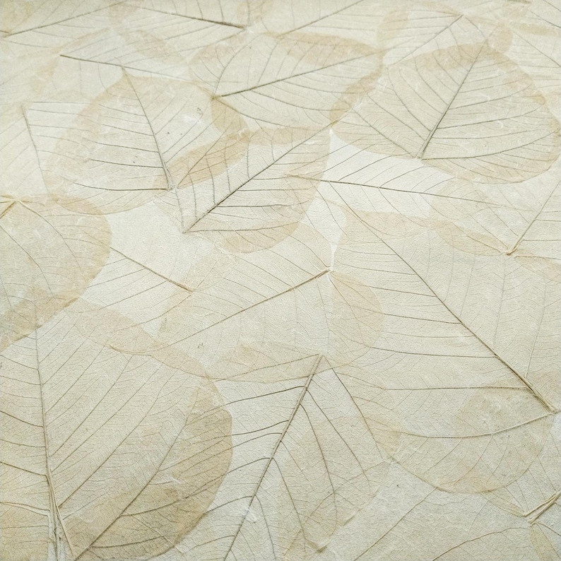 Handmade Buddha Leaf Mulberry Paper (natural) by Kozo Studio - Etsy UK
