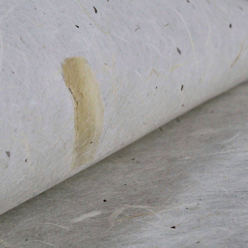 Unryu Kozo Washi Paper With Mulberry Bark Thai Mulberry - Etsy