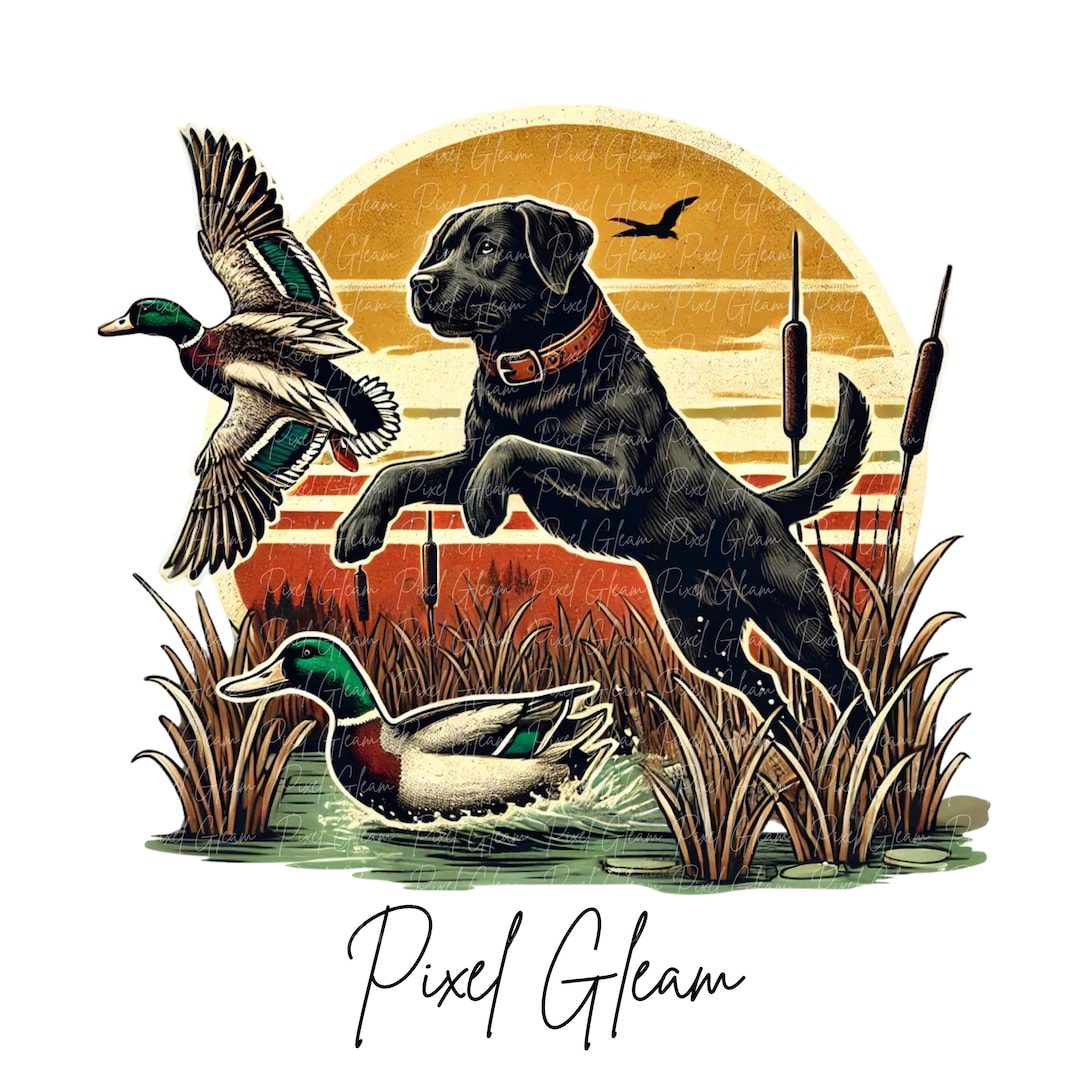 Hunting Labrador Retrieving Duck PNG Design, Sublimation Shirt Graphic ...