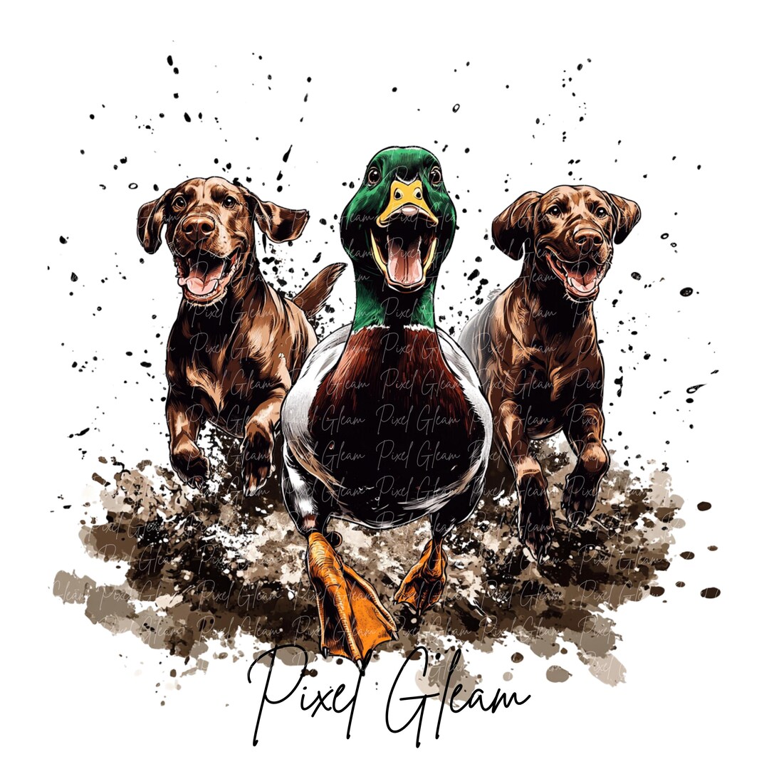 Walker Hunting Dog PNG, Labrador Retrieving Png, Mallard Duck, Duck ...