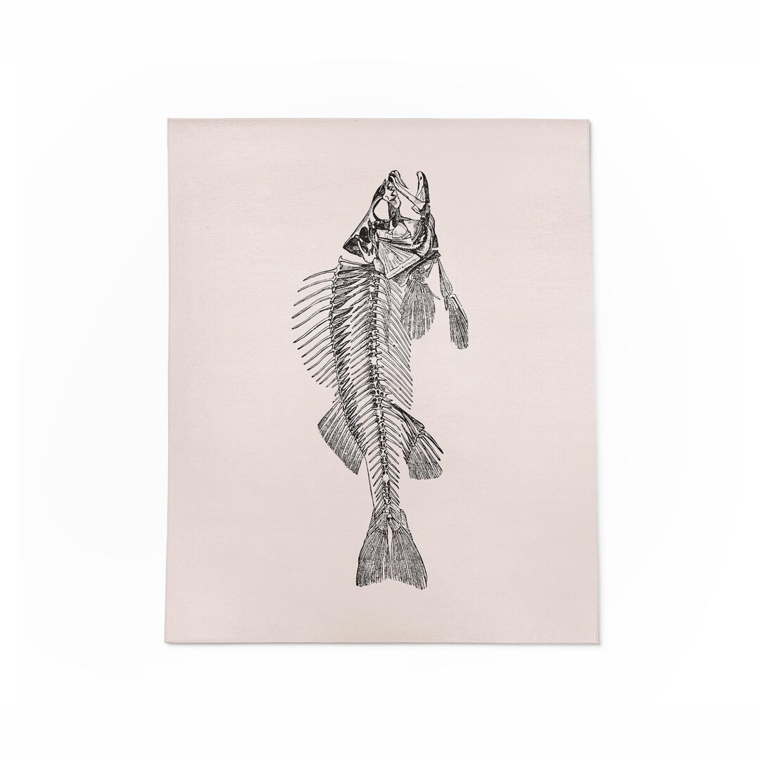 Fish Bones Skeleton Taxidermy Rug | Beach House Carpet | Indoor Outdoor ...