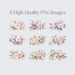 Dusty Rose Flower Clipart, Dusty Pink Roses Bouquet, Blush Rose Png ...