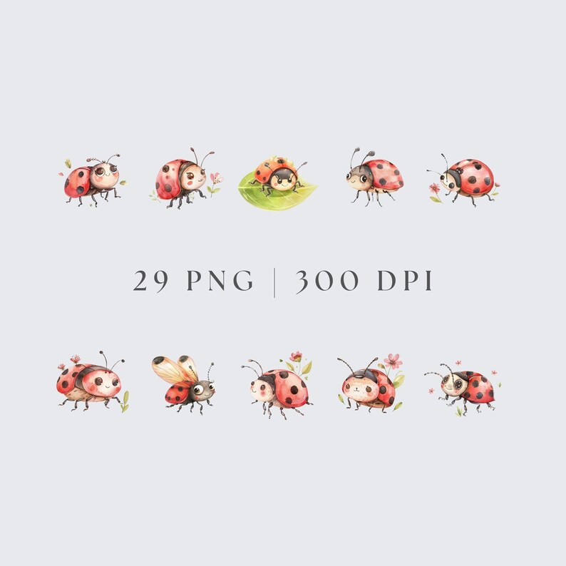 Ladybug Clipart, Cute Watercolor PNG Bundle for Digital Download ...