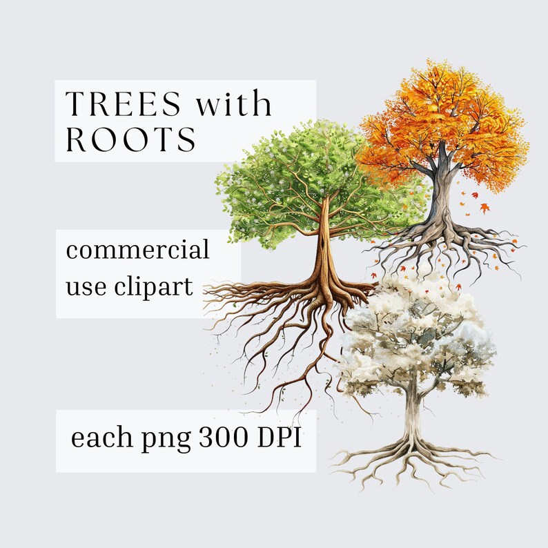 Watercolor Tree With Roots Clipart, Tree With Roots Clipart, Roots ...