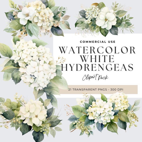 White Hydrangea - Etsy