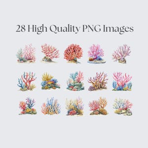 Coral Reef Clipart, Underwater Watercolor PNG, Digital Download for ...