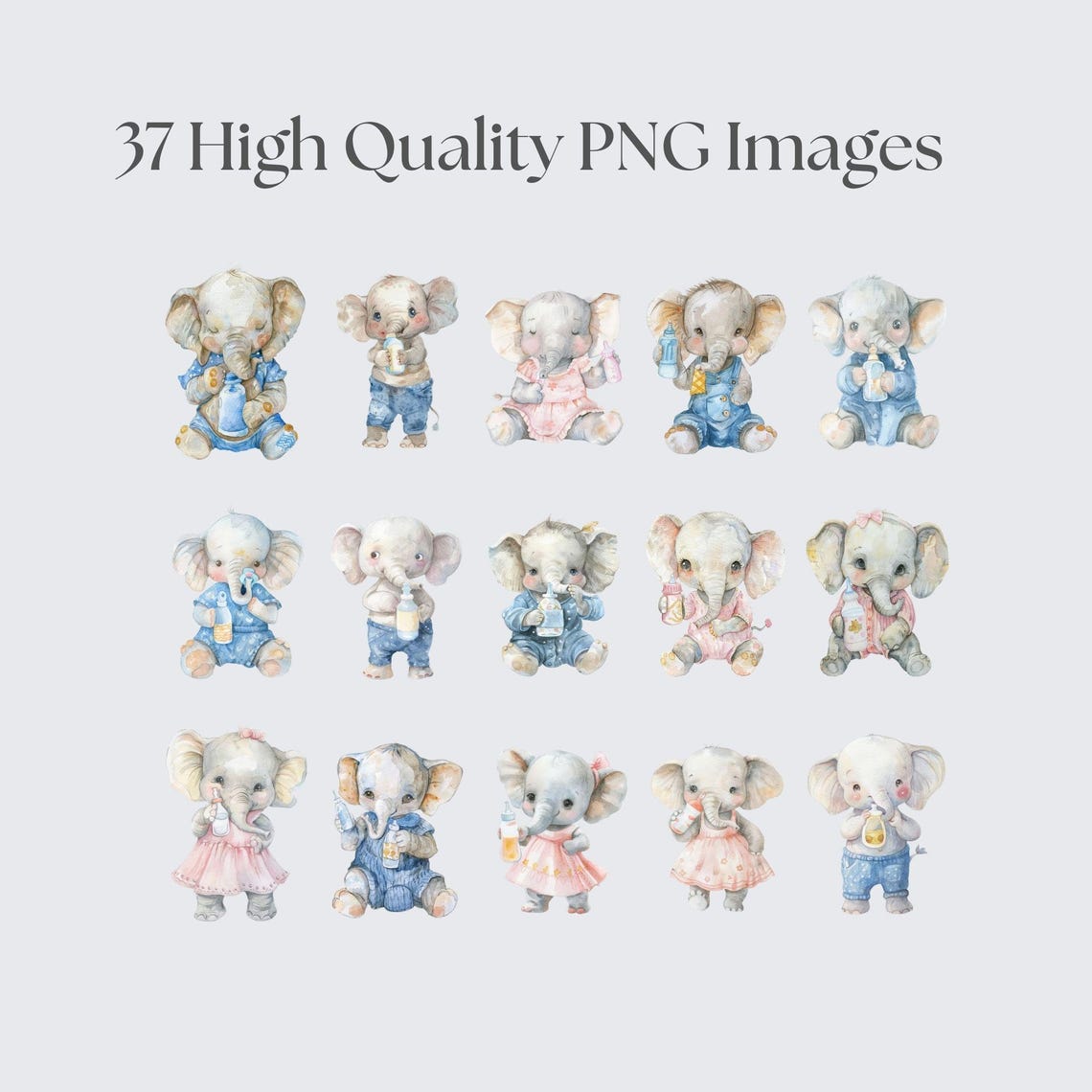 Baby Elephant Pink Png Clipart, Baby Boy Elephant Clipart, Baby ...