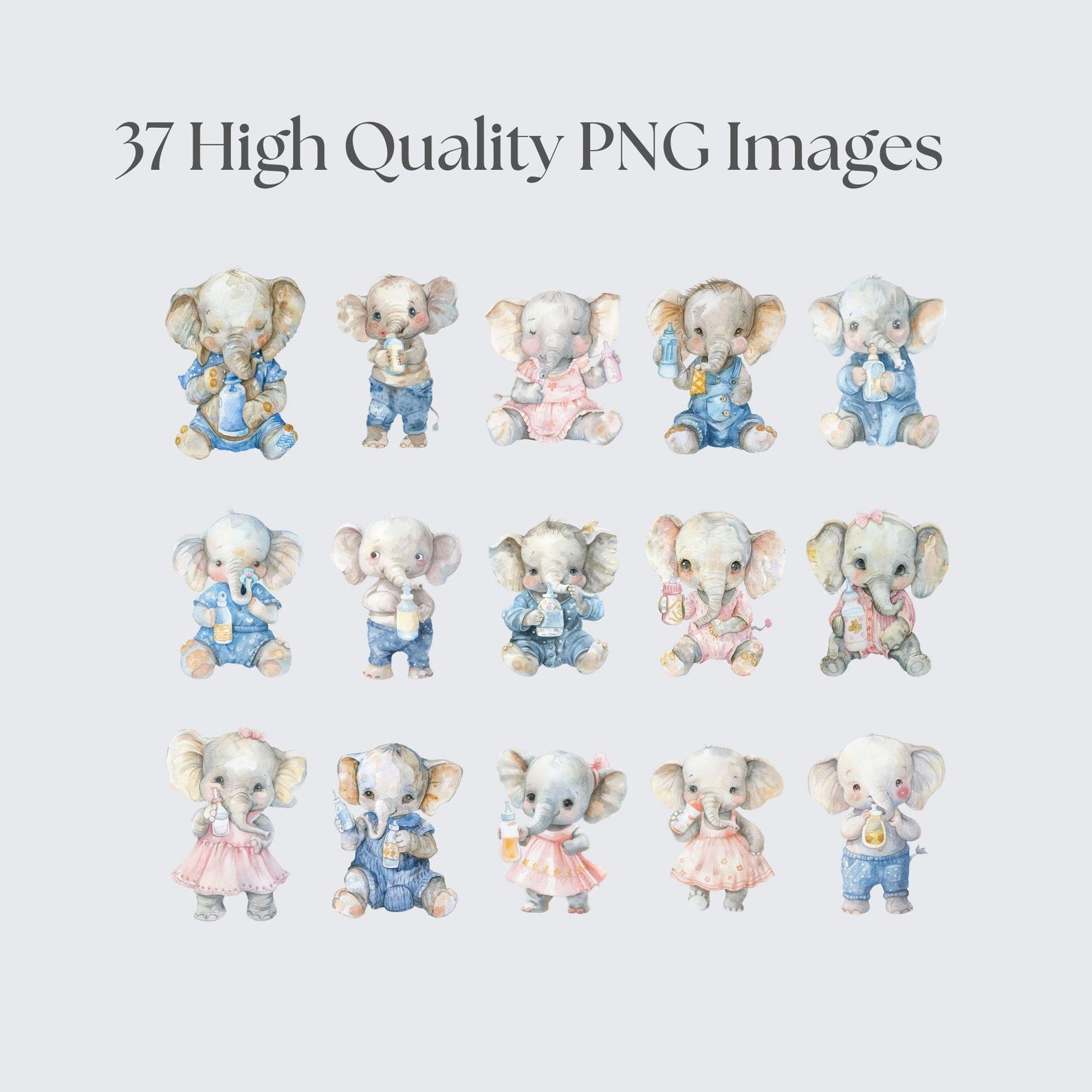 Baby Elephant Pink Png Clipart, Baby Boy Elephant Clipart, Baby ...