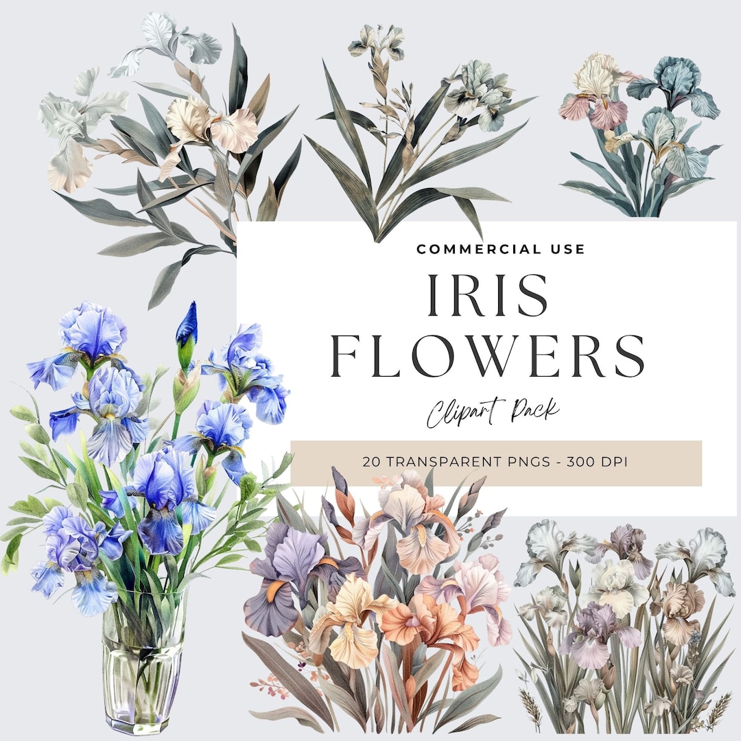 Iris Flowers Clipart, Iris Clipart, Spring Flowers, Wedding Clipart, Watercolor Iris Flowers ...