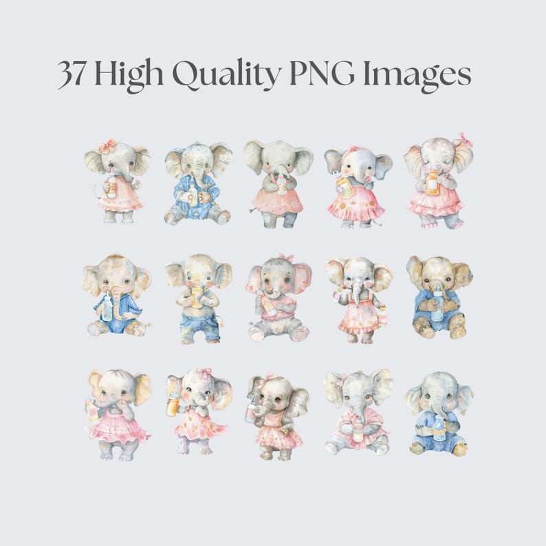 Baby Elephant Pink Png Clipart, Baby Boy Elephant Clipart, Baby ...