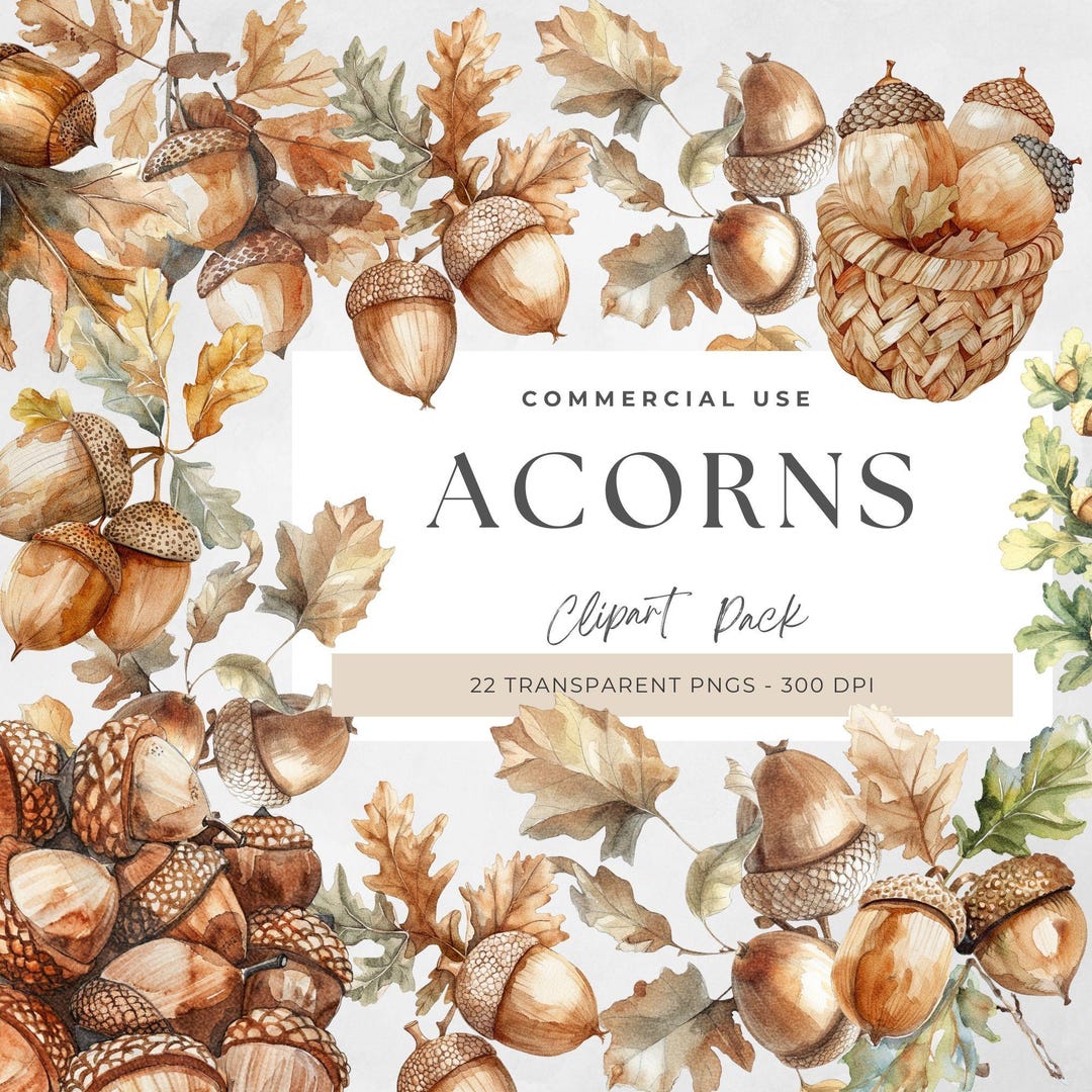 Vintage Botanical, Acorns Clipart Bundle, Watercolor Oak Leaf, Fall ...