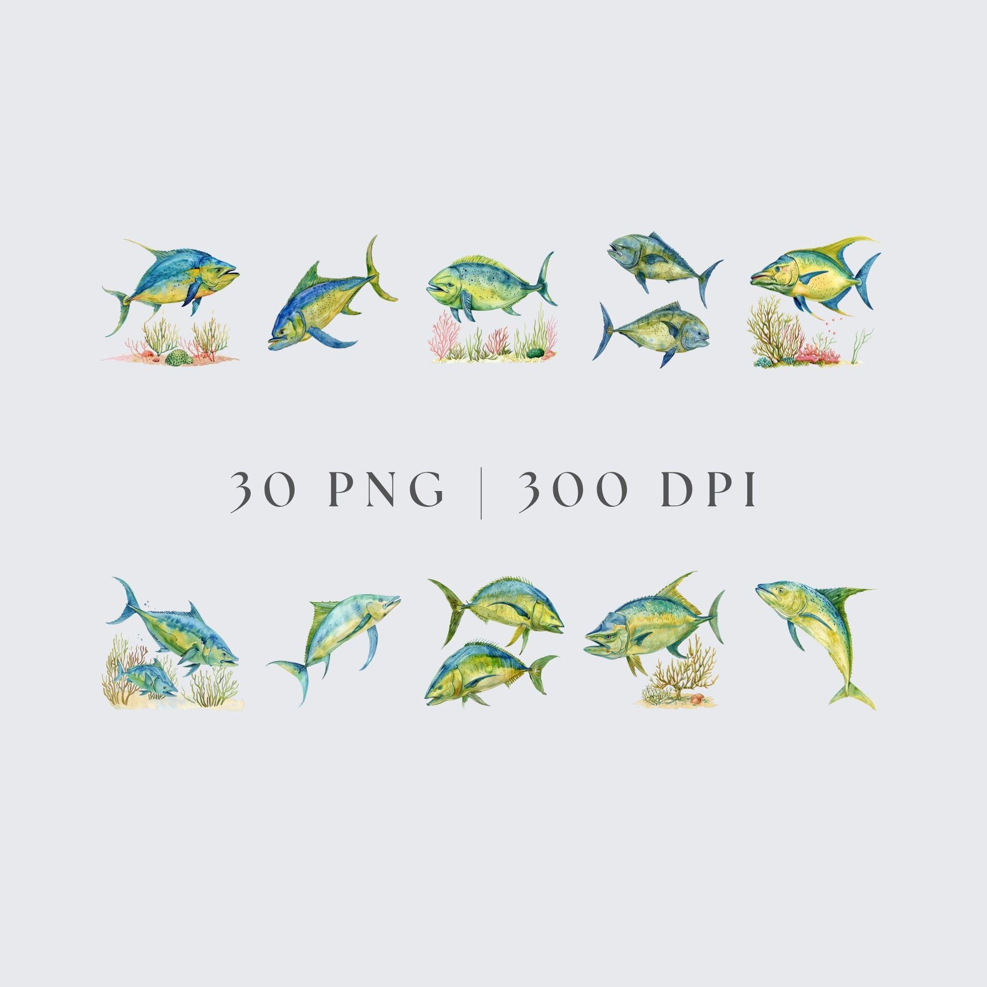 Mahi Mahi Clipart, Fishing Clipart PNG, Digital Download, Mahi Mahi Art ...