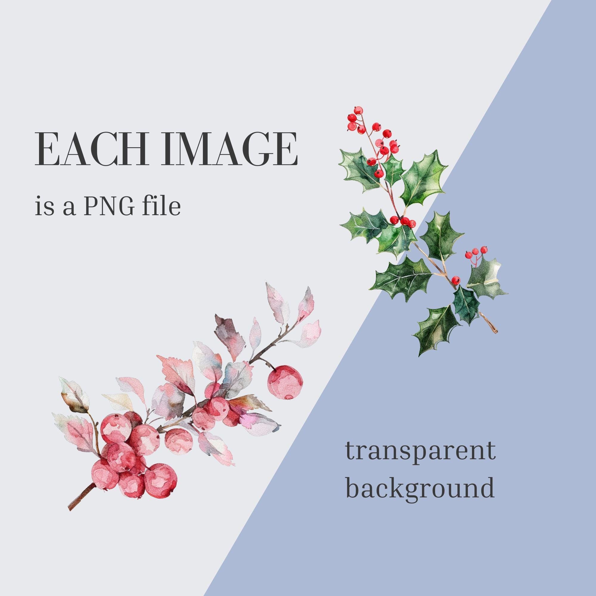 Christmas Watercolor Floral Clipart, Holly & Ivy Bouquet, Winter ...