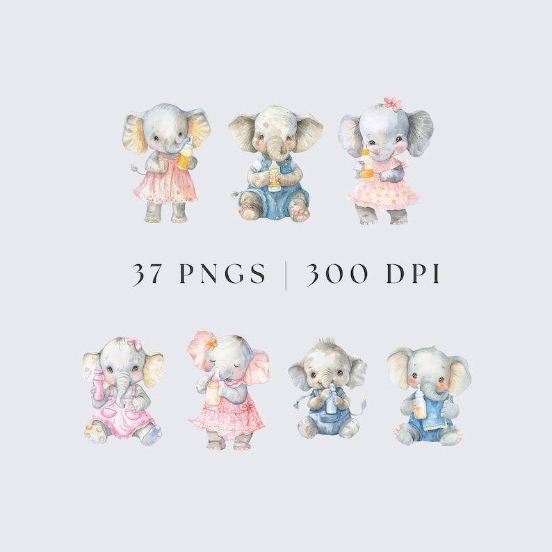 Baby Elephant Pink Png Clipart, Baby Boy Elephant Clipart, Baby ...