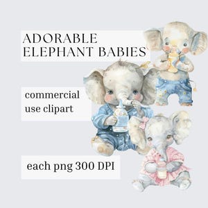 Baby Elephant Pink Png Clipart, Baby Boy Elephant Clipart, Baby ...