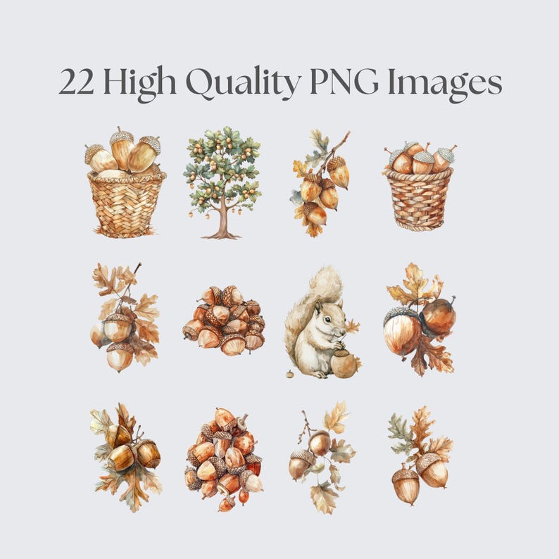 Vintage Botanical, Acorns Clipart Bundle, Watercolor Oak Leaf, Fall ...
