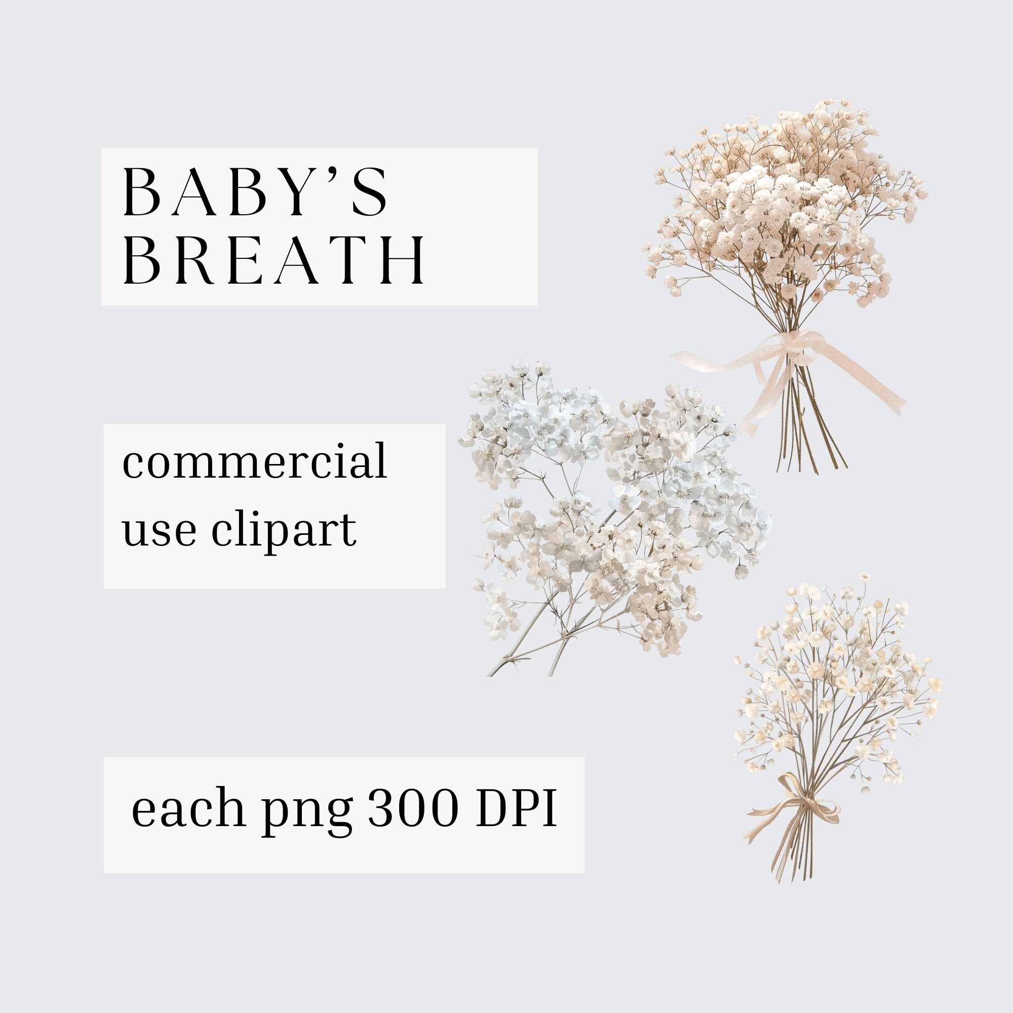 Baby Breath Clipart, Baby Breath Floral Clipart, Wedding Invitation ...