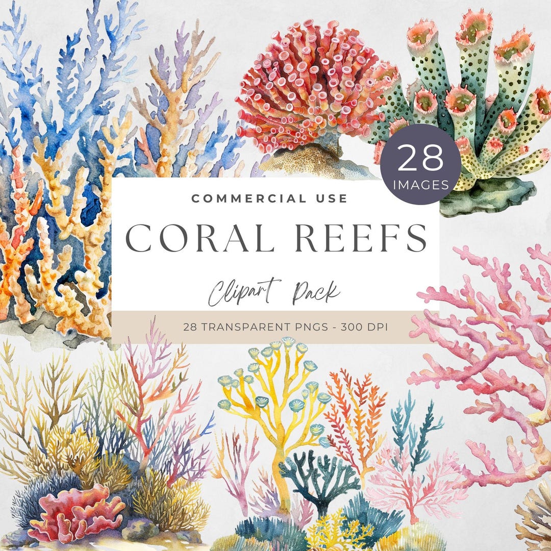 Coral Reef Clipart, Underwater Watercolor PNG, Digital Download for ...