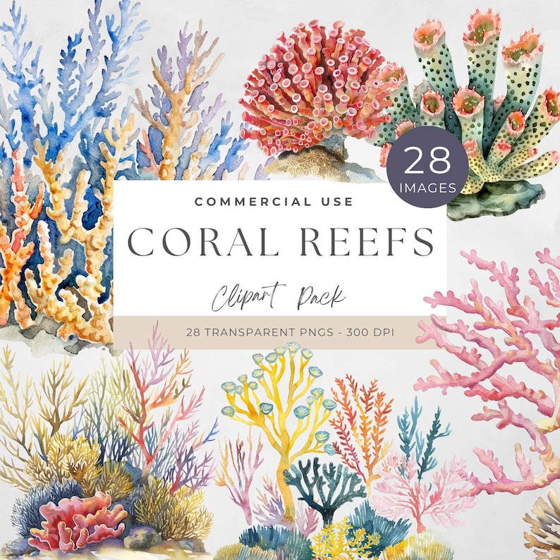 Coral Reef Clipart, Underwater Watercolor PNG, Digital Download for ...
