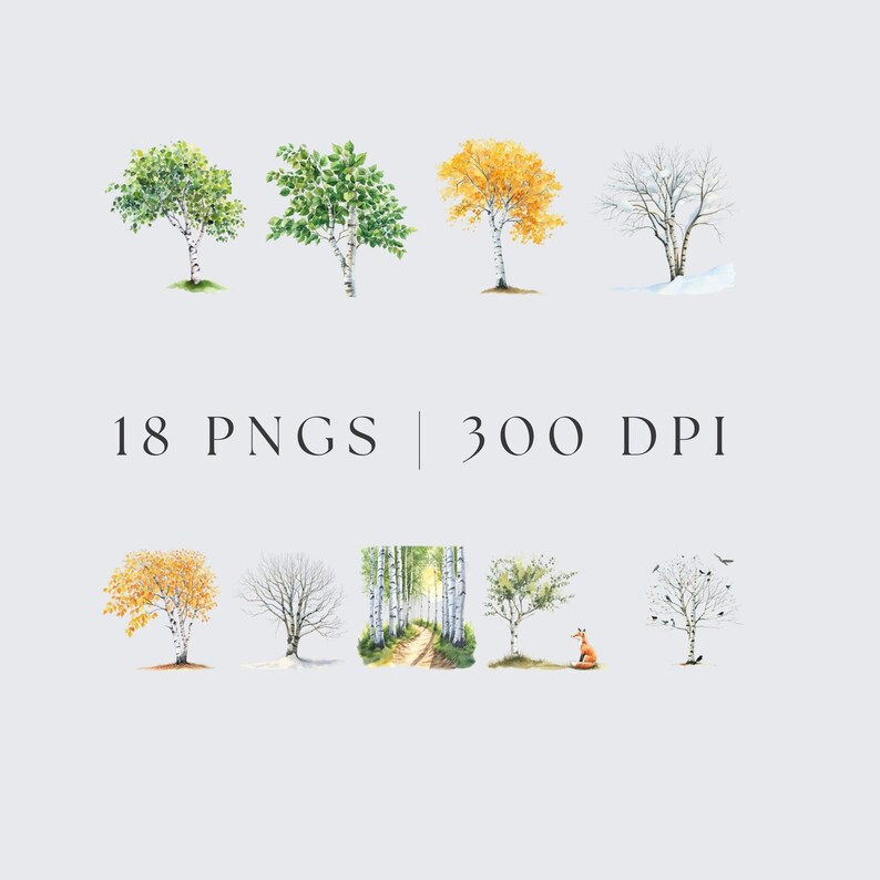 Birch Tree Clipart, Watercolor Spring Birch Trees Clipart, Watercolor ...