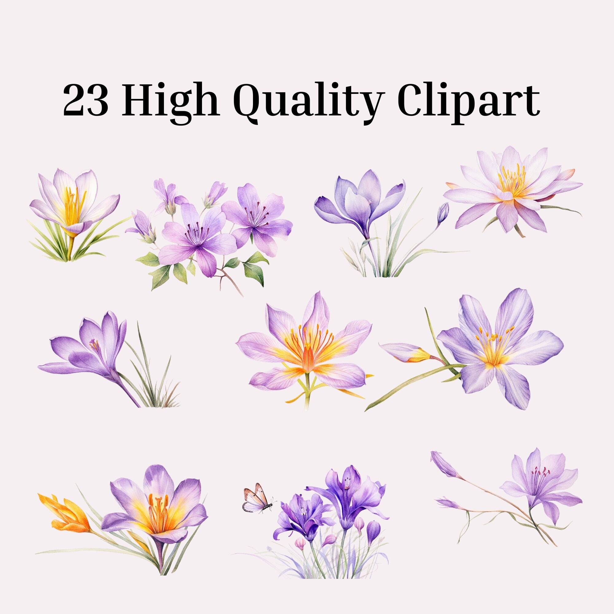 Clipart Watercolor Saffron | Watercolor Clipart | Saffron Drawing | Png ...