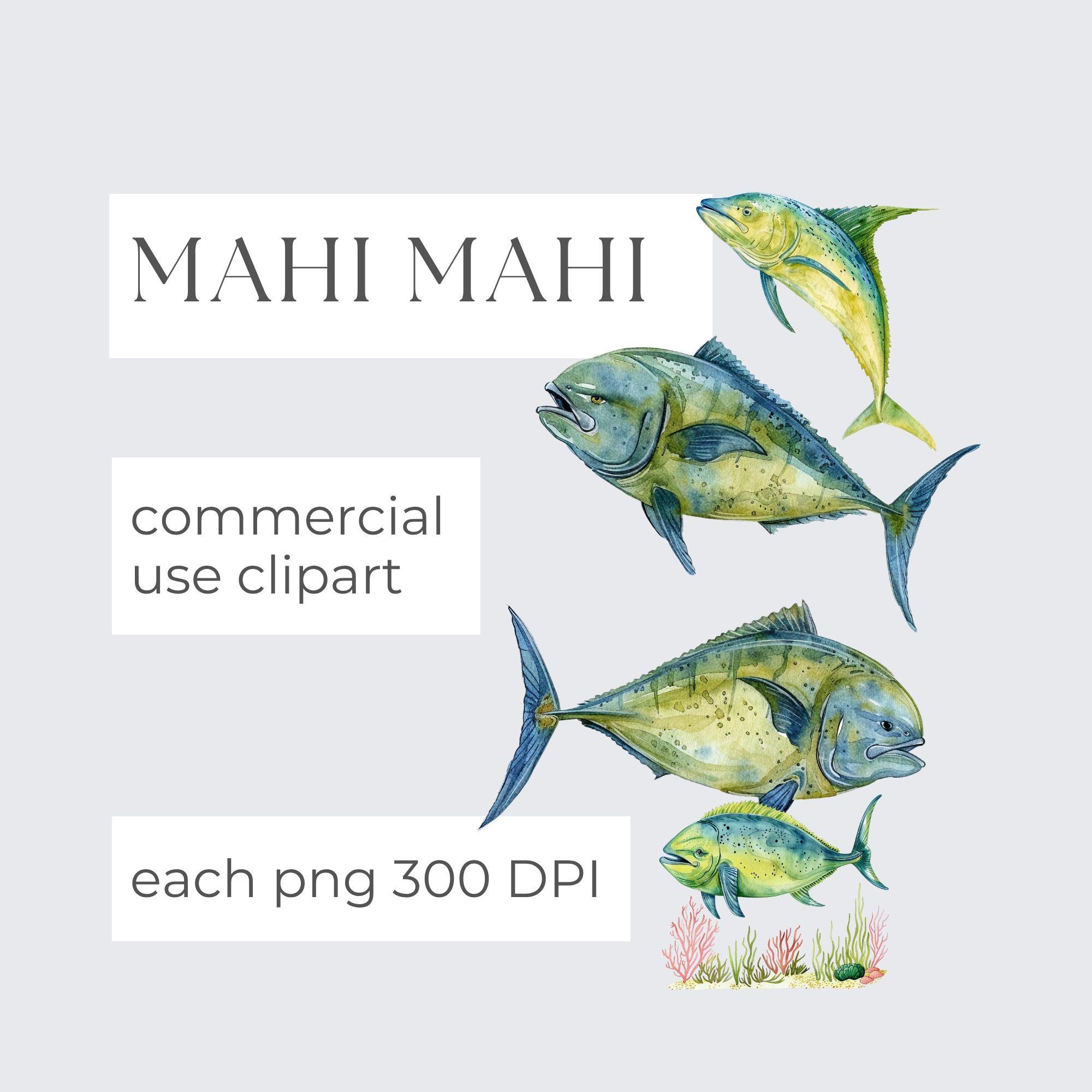 Mahi Mahi Clipart, Fishing Clipart PNG, Digital Download, Mahi Mahi Art ...
