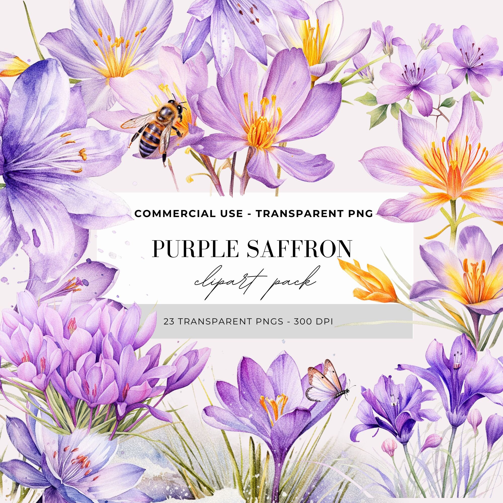 Clipart Watercolor Saffron | Watercolor Clipart | Saffron Drawing | Png ...