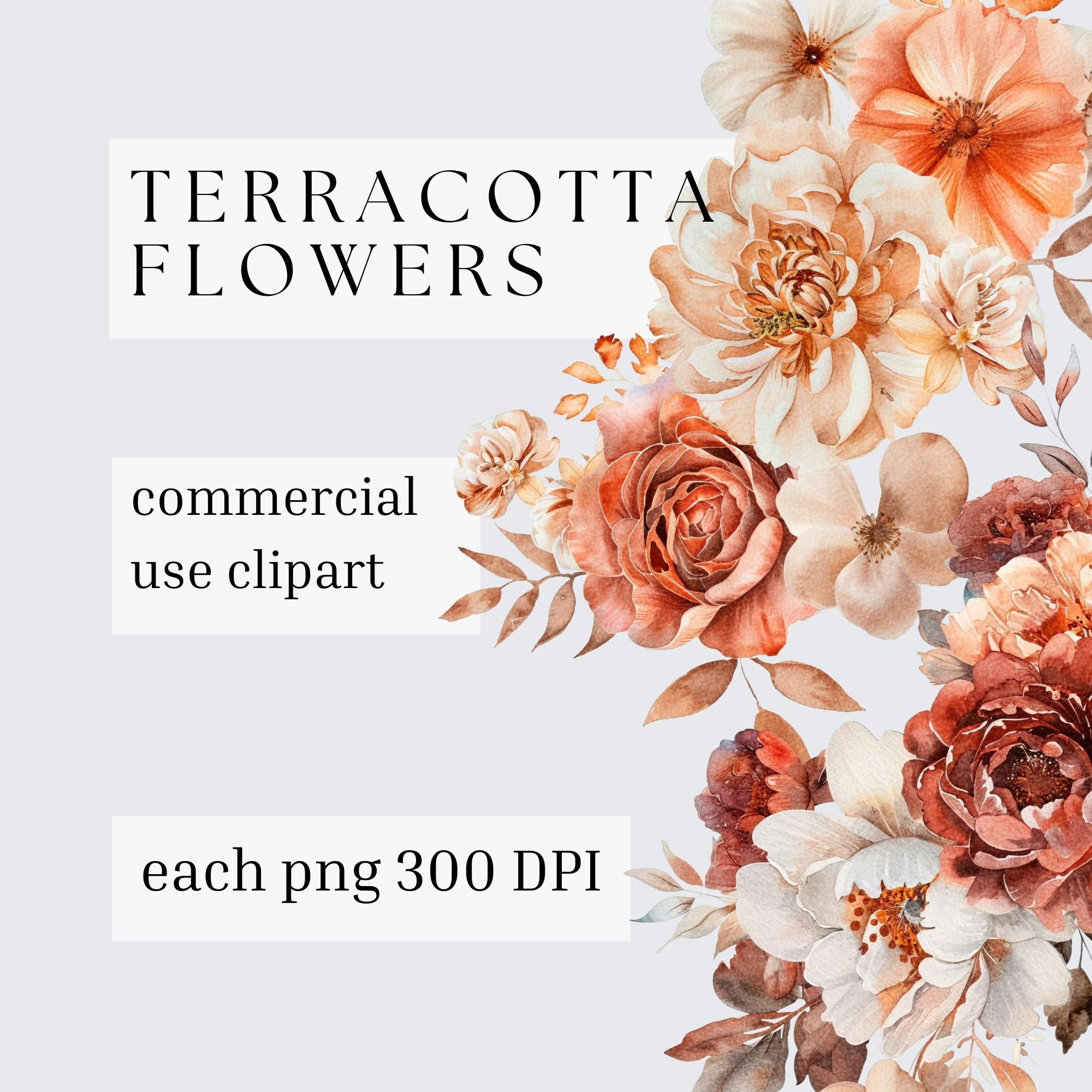 Terracotta Flower Clipart, Orange & Brown Neutral Floral, Autumn ...