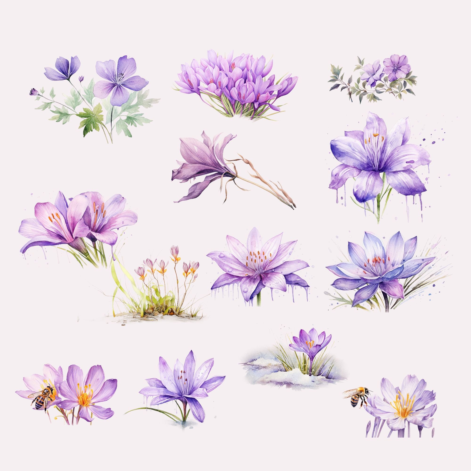 Clipart Watercolor Saffron | Watercolor Clipart | Saffron Drawing | Png ...