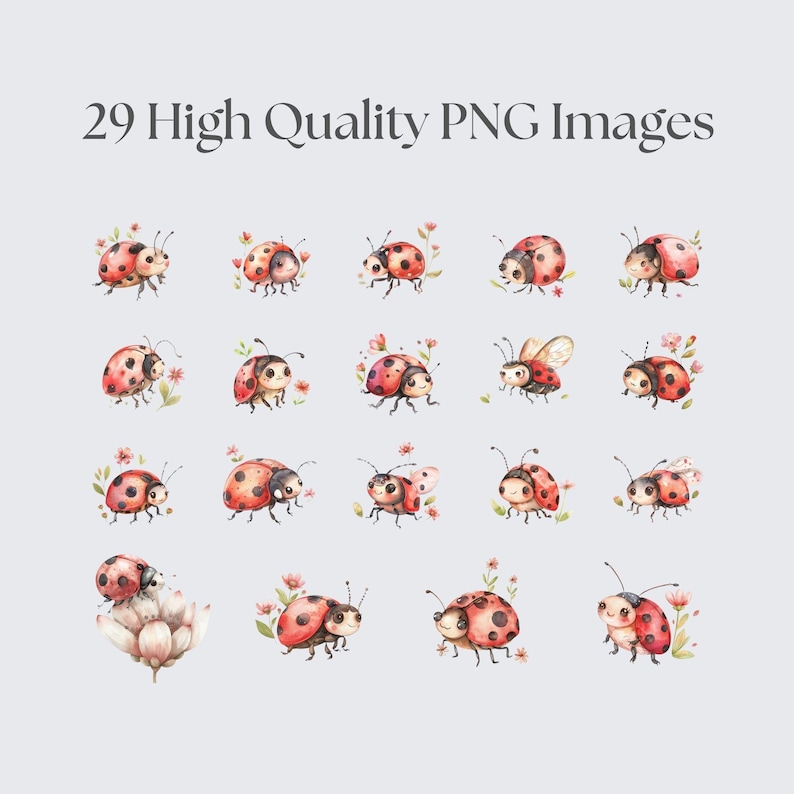 Ladybug Clipart, Cute Watercolor PNG Bundle for Digital Download ...