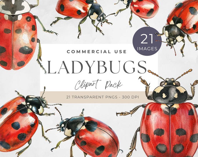 Ladybug Clipart, Cute Ladybug Png, Bug Clipart, Love Bug Clipart ...