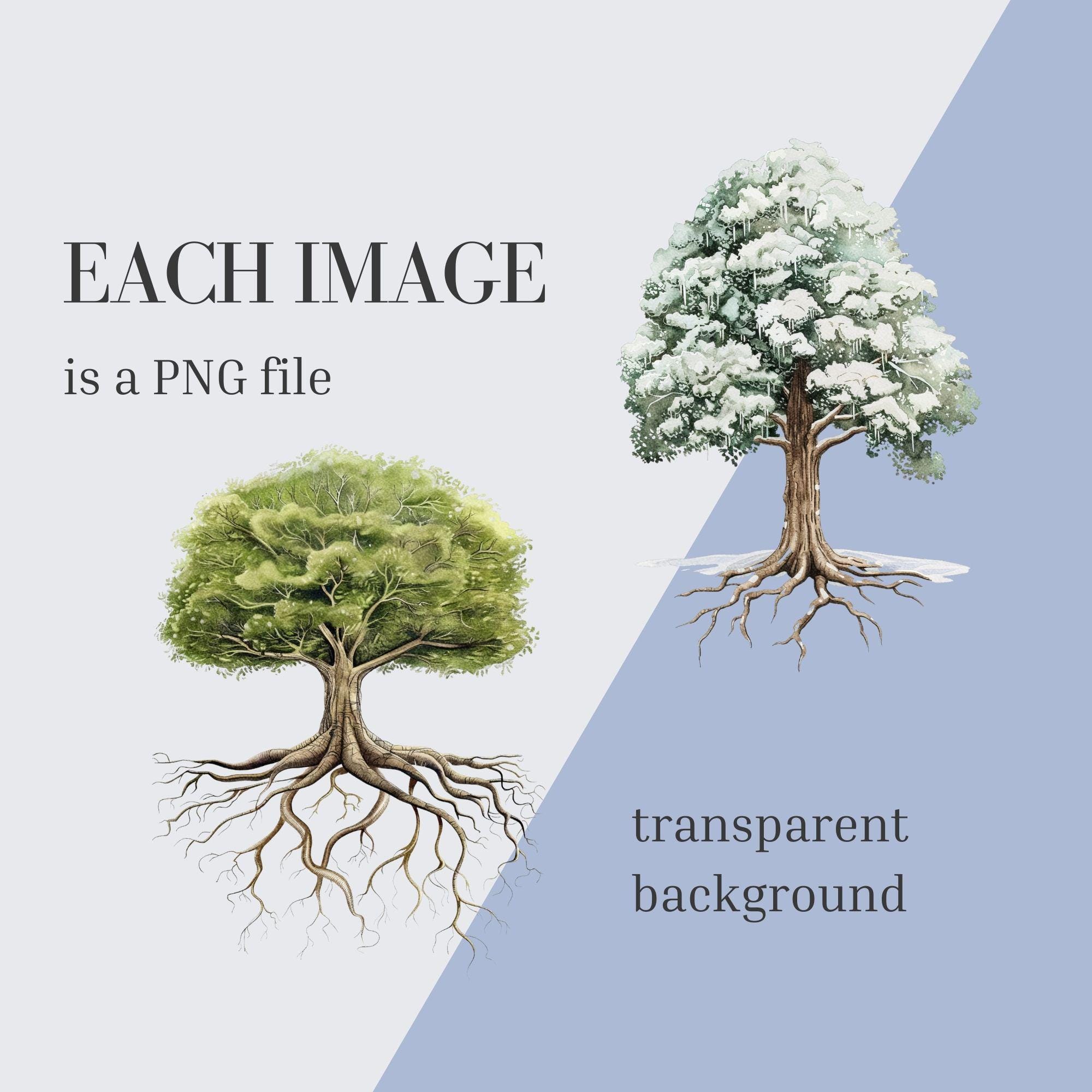 Watercolor Tree With Roots Clipart, Tree With Roots Clipart, Roots ...