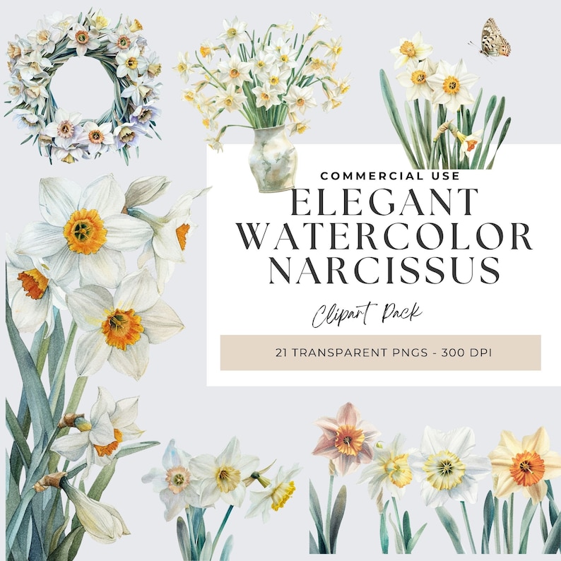 Watercolor Daffodils Clipart: Spring Narcissus Flower PNG (digital ...