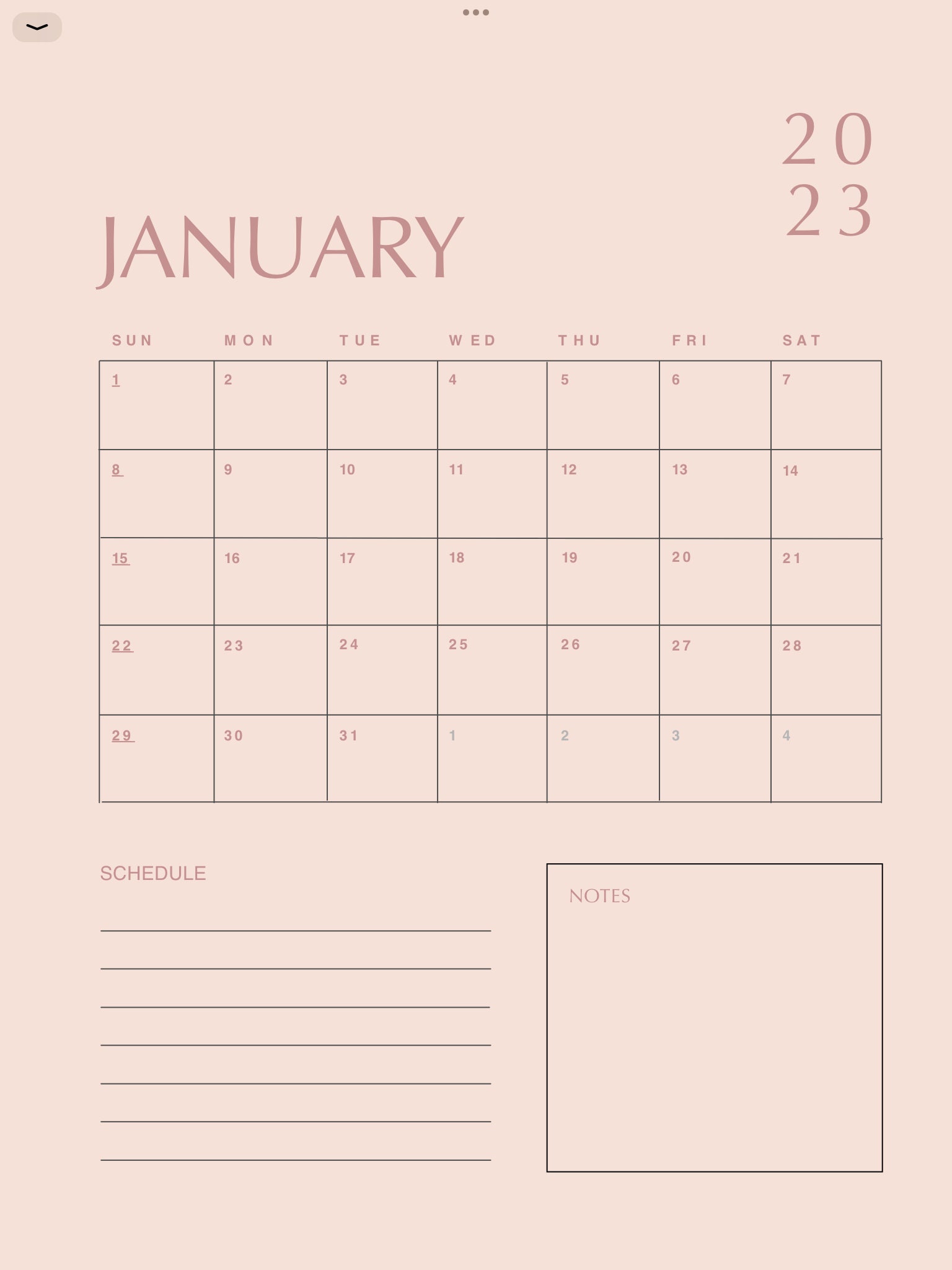 2023 Digital Planner (2024 Planner for Free With Purchase Once It’s ...