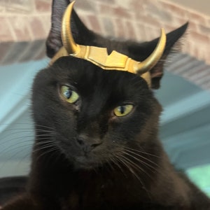 Loki Horns for Cat Variants - Etsy