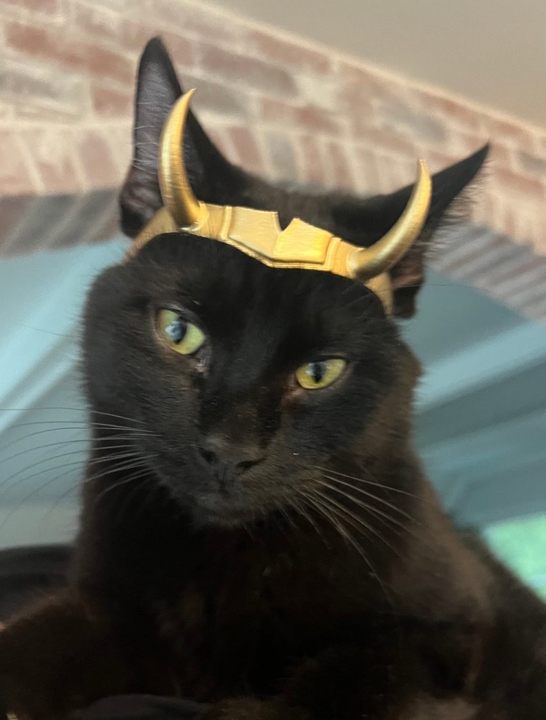 Loki Horns for Cat Variants (hand Painted) - Etsy