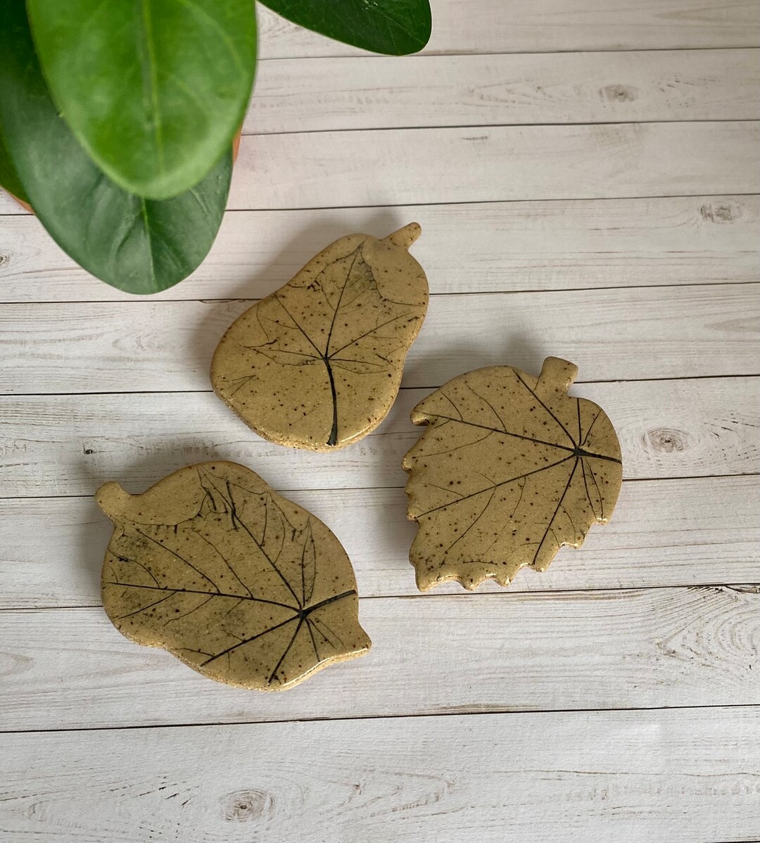 Leaf Print Magnets Autumn Magnets Ceramic Magnets Set of - Etsy