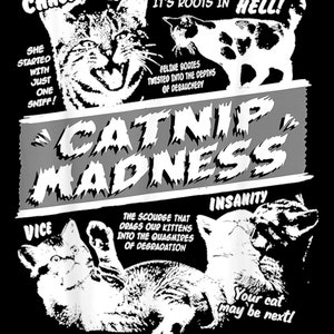 Funny Cat Shirts for Women Men, Catnip Madness, Crazy Shirts, Cool Graphic T Shirts, Kitten Tees ...