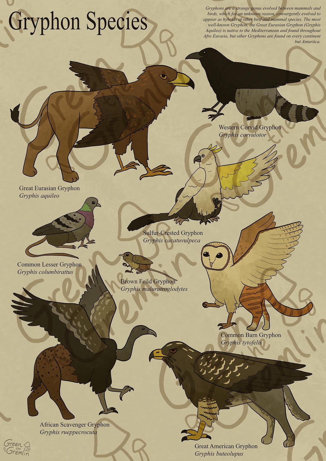Griffin Species Poster, Fake Scientific Poster, Fantasy Poster ...