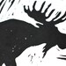 Moose 8 X 10 Linocut Print Hand Carved and Hand Pressed Black & White ...
