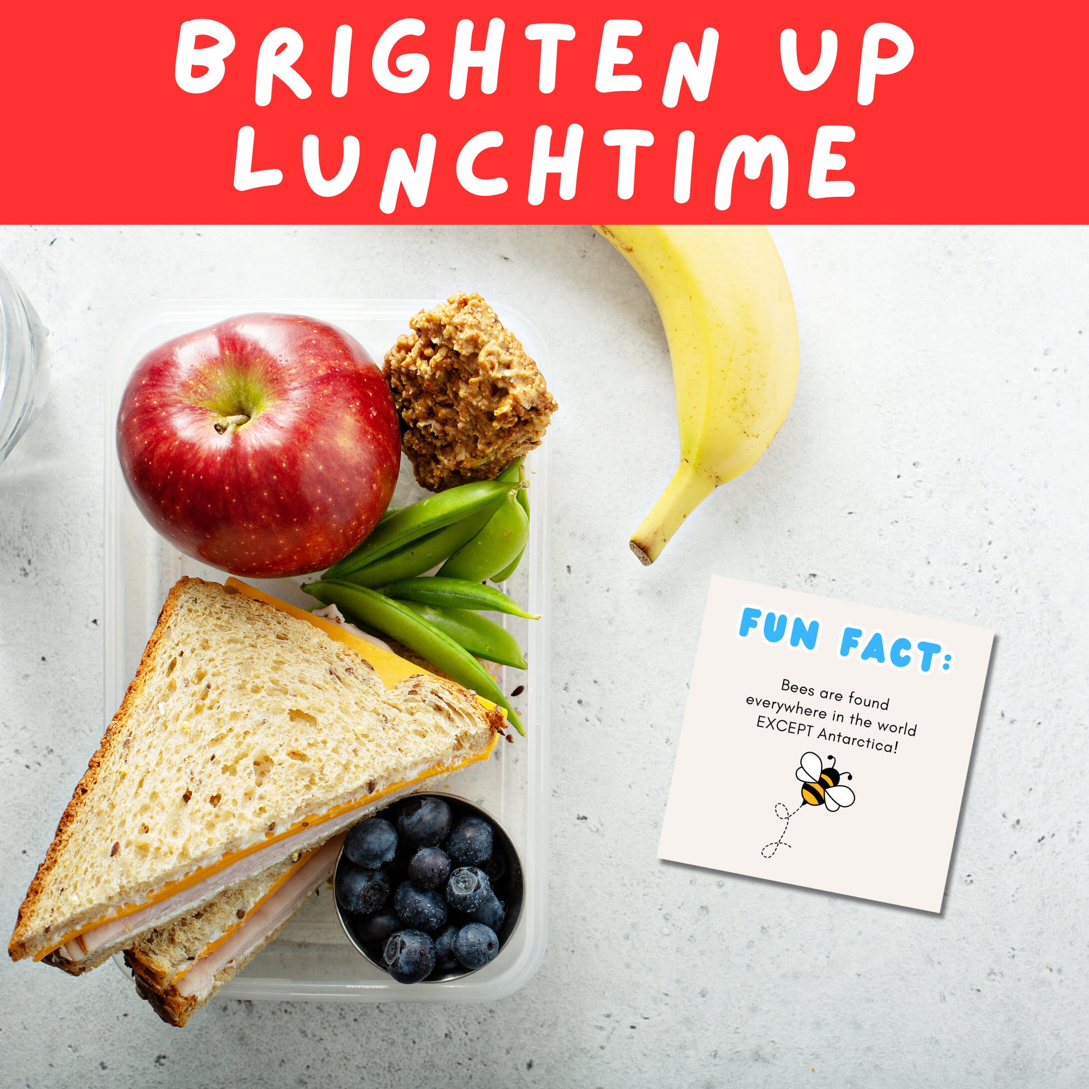 Printable Lunchbox Notes, Printable Lunch Notes, Lunchbox Notes, Lunch ...