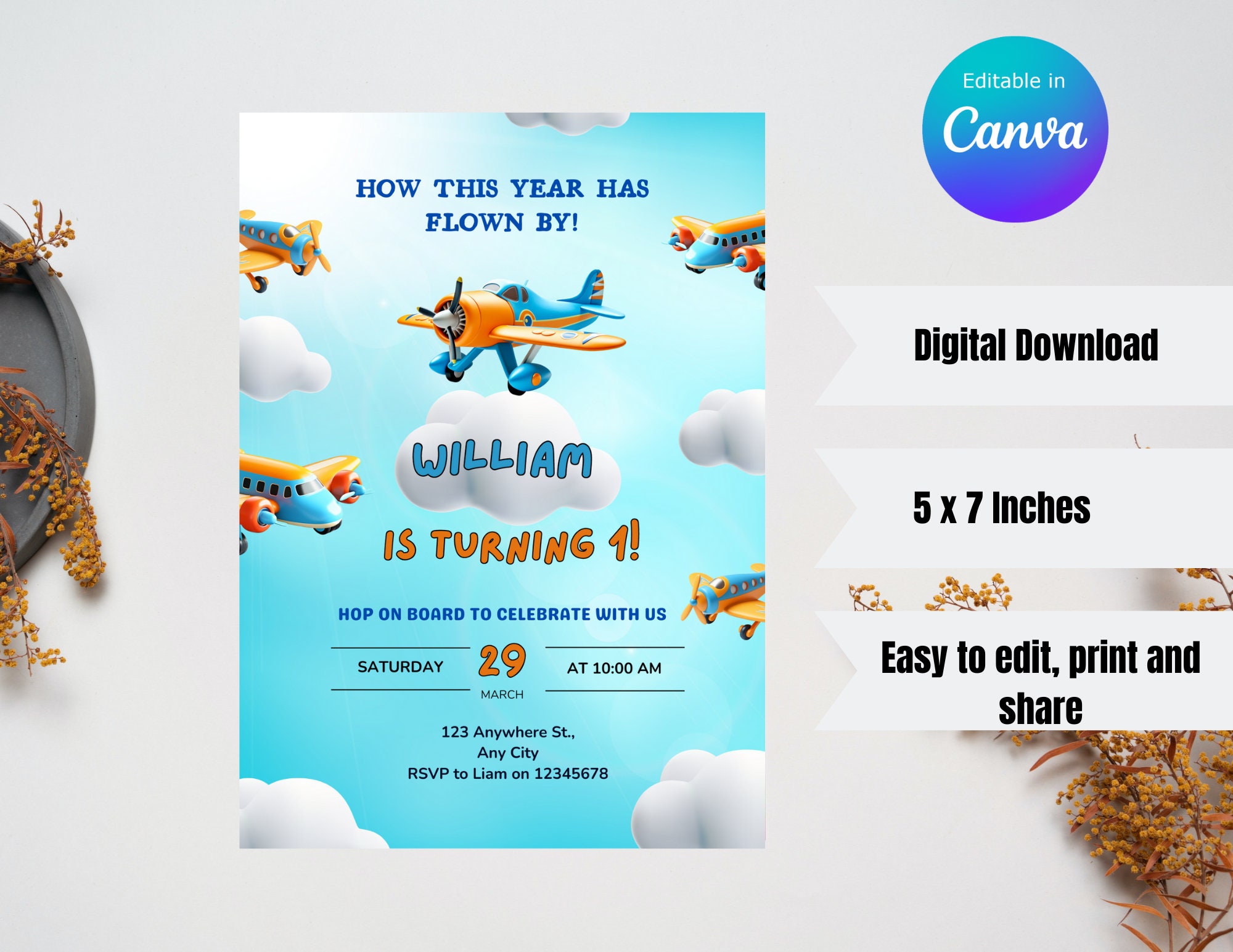 Plane Birthday Invitation for Kids Birthday Invite Airplane - Etsy