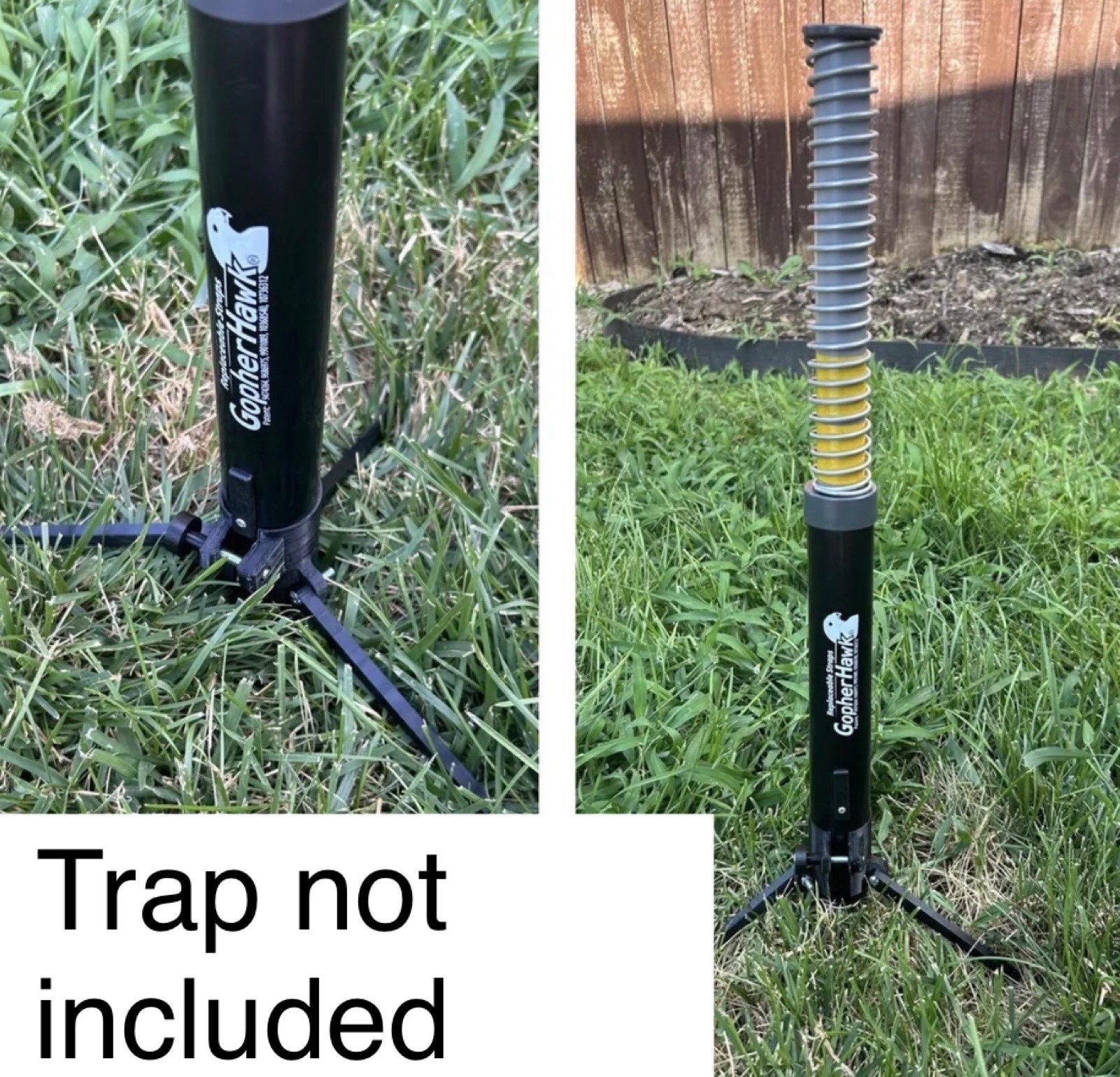 Gopher Hawk Gopher & Mole Trap Stand for Shallow Holes Stand Only ...