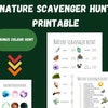 Nature Scavenger Hunt / Printable Scavenger Hunt for Kids / Color ...