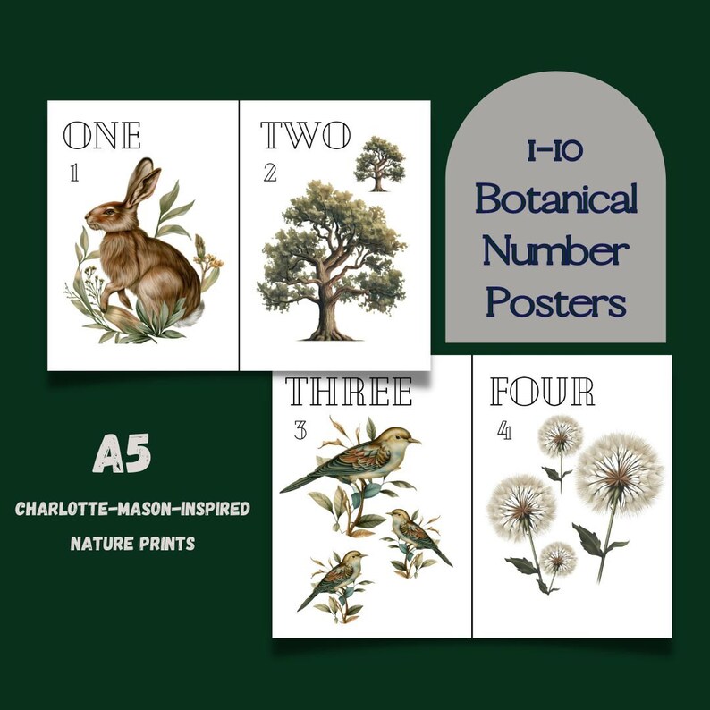 PRINTABLE Botanical Number Posters / Charlotte Mason / Homeschool ...