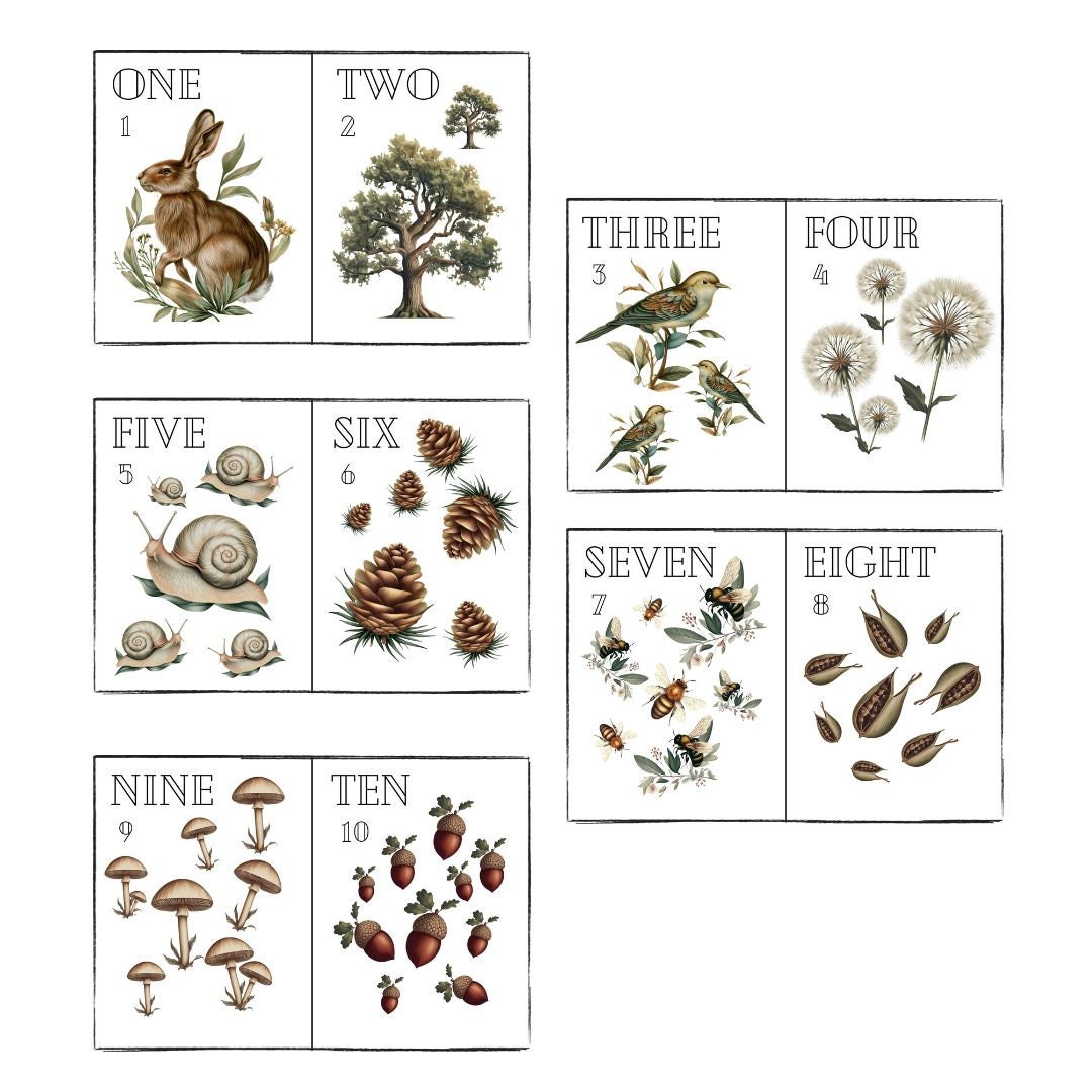 PRINTABLE Botanical Number Posters / Charlotte Mason / Homeschool ...