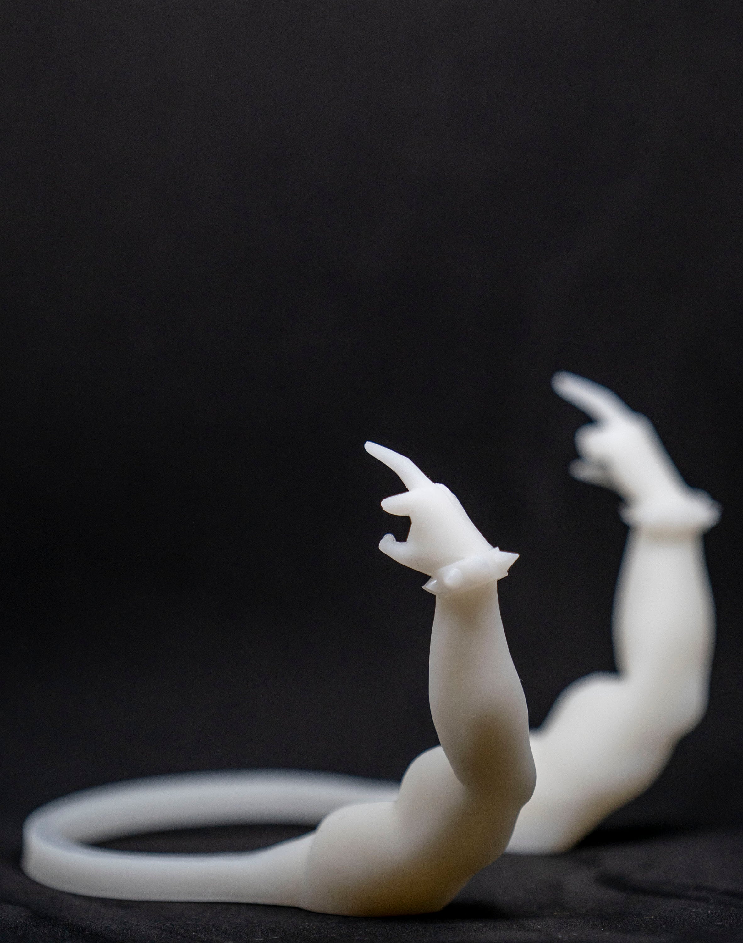Chicken Arms 3D Print - Etsy