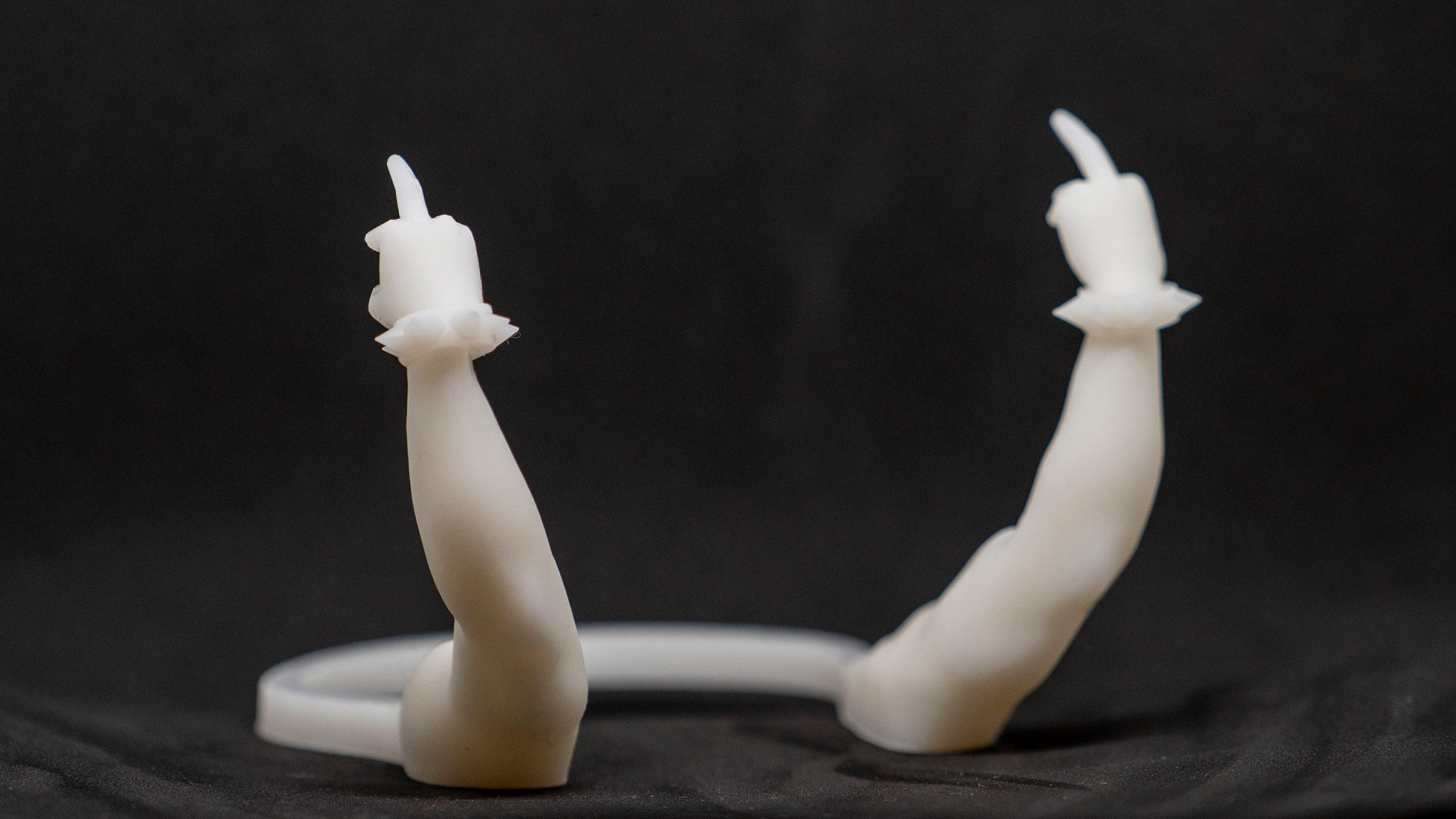 Chicken Arms 3D Print - Etsy